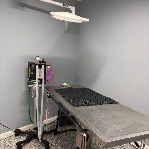 Best Vet Hospital In Eubank, KY | Eubank Veterinary Clinic