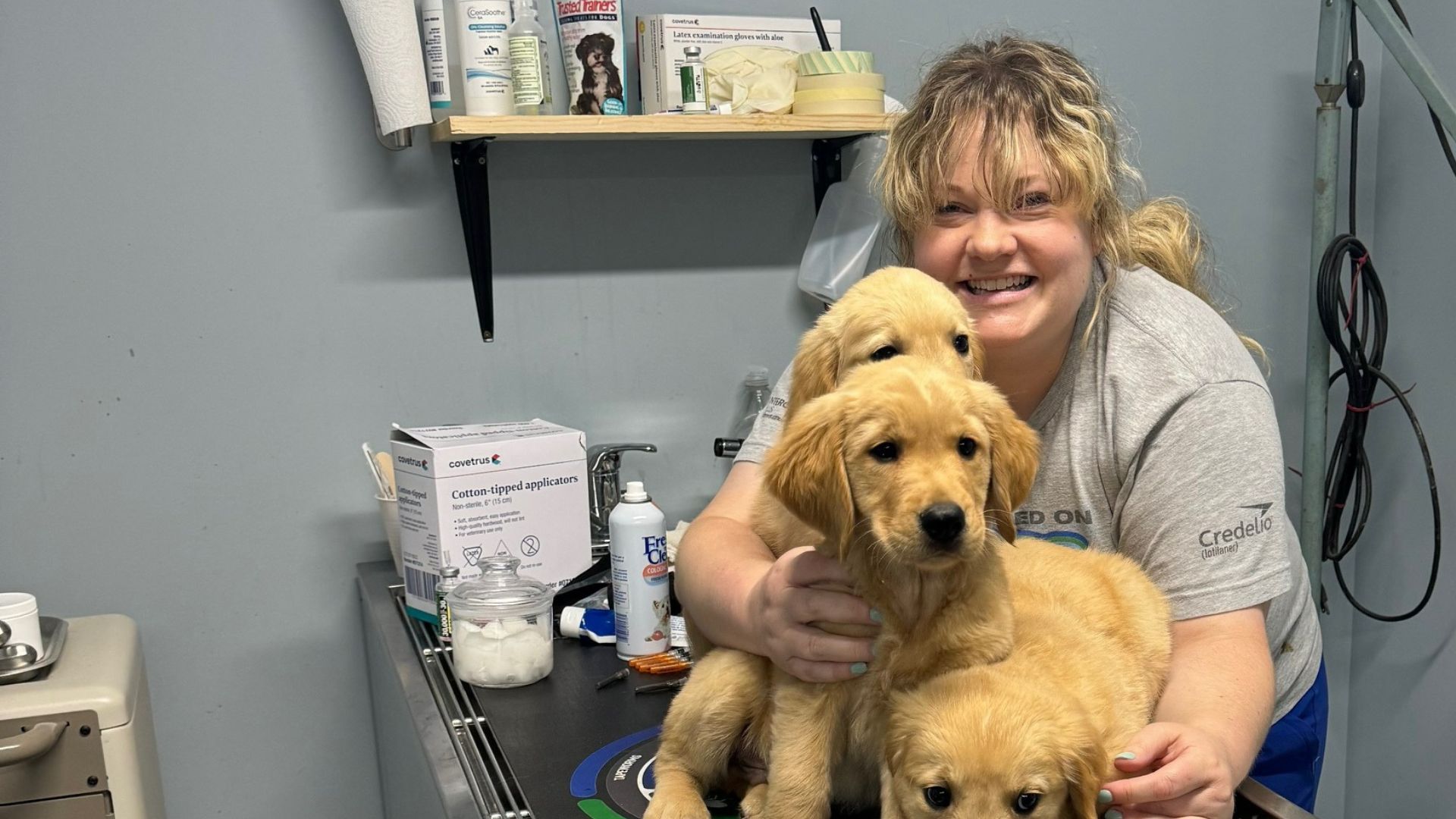 About Eubank Veterinary Clinic | Vet In Eubank, KY 42567